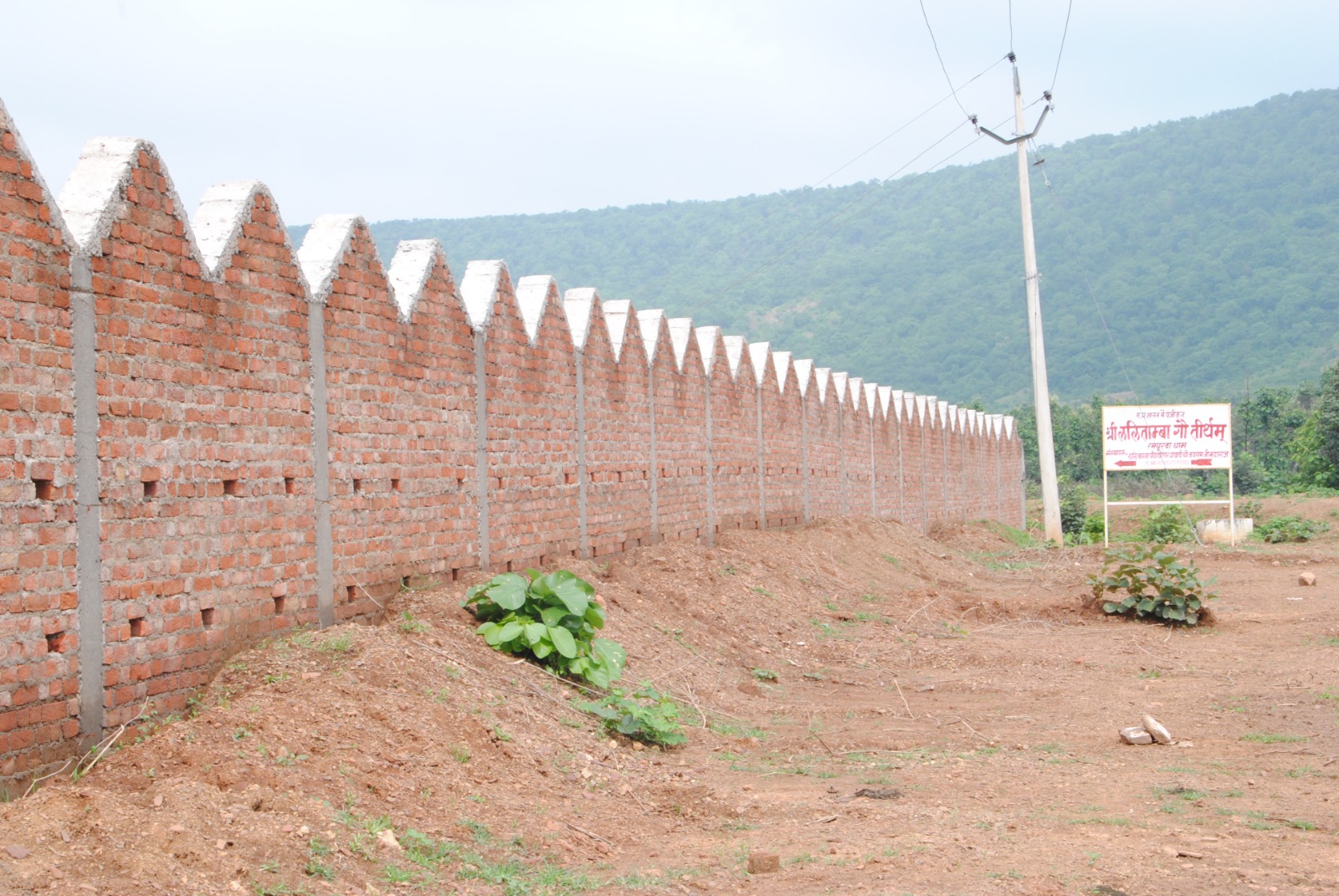 Shree Lalitamba Gau Seva Trust