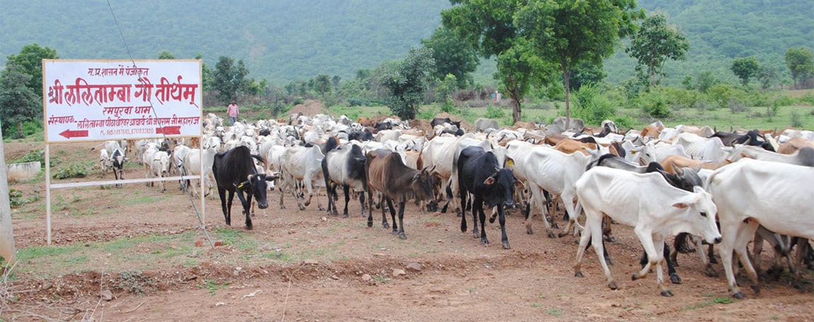 Shree Lalitamba Gau Seva Trust