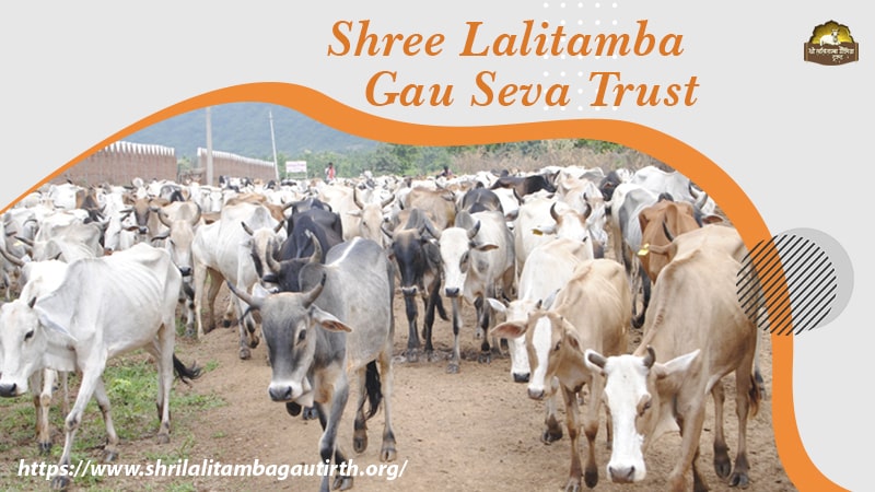 Shree Lalitamba Gau Seva Trust