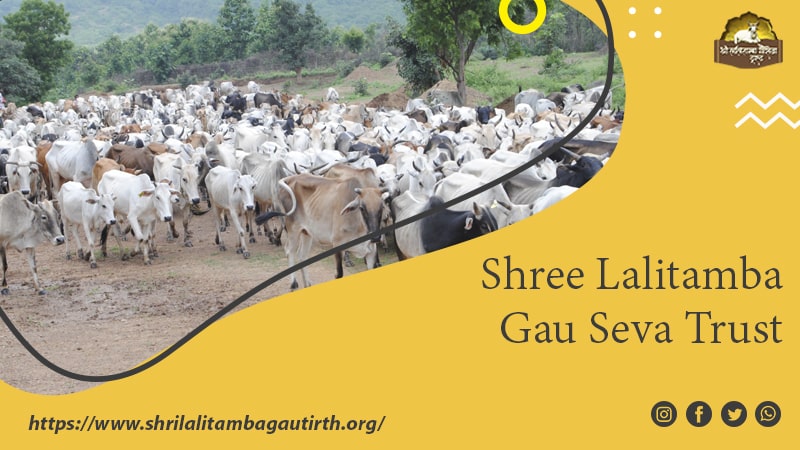 Shree Lalitamba Gau Seva Trust